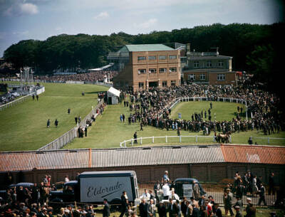 Horse Racing Paddock scene at Goodwood Racecourse Old Historic Photo 1 ...