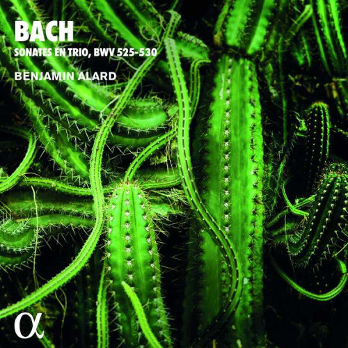 BACH: TRIO SONATAS FOR ORGAN, BWV 525-530 | eBay