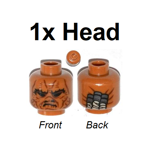 LEGO Star Wars - Weequay Skiff Guard (Pagetti Rook) Minifigure Head ...