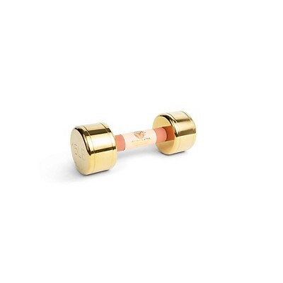 Blogilates Iron Dumbbell - Gold 15lbs | eBay