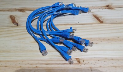 1 FT Patch Cable Black Box Cat 6 "BLUE" LOT of 10 | eBay
