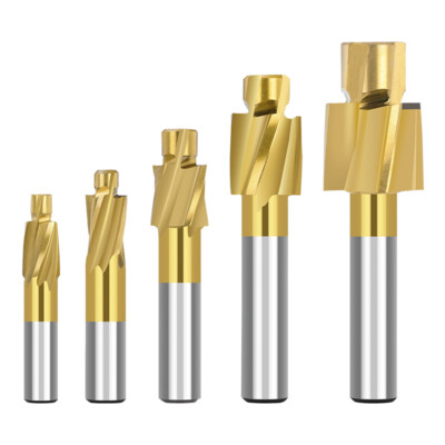 Counterbore End Mill M3-M16 4 Flute HSS M2 Pilot Slotting Drill Bit Ti ...
