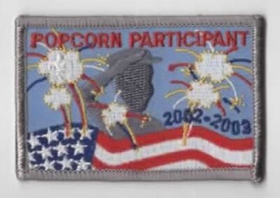 2002-2003 Popcorn Participant BSA Patch GRAY Bdr. [5D-239] | eBay