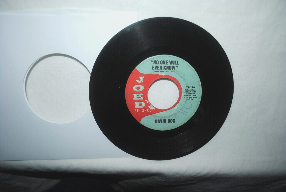David Box, LITTLE LONELY SUMMER GIRL, 45 rpm record, VG, Joed TR-116 ...