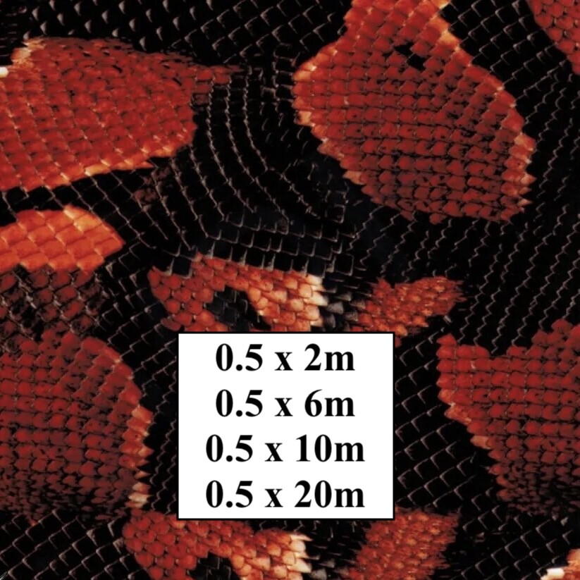 Hydrographic Water Transfer Film - Hydro Dipping Print Red Snake | eBay ...
