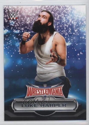 2016 Topps WWE Road to Wrestlemania 32 Roster Mr Brodie Lee Luke Harper ...
