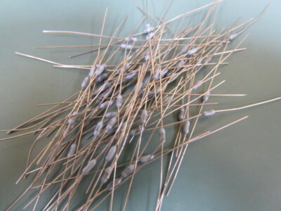 VISH/DALE RLR05C3003GR Qty of 50 per Lot Metal Film Resistors - Through ...