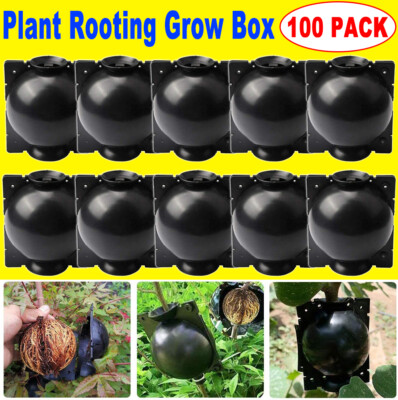 100Pcs Plant High Pressure Box Graft Grafting Root Grow Device ...