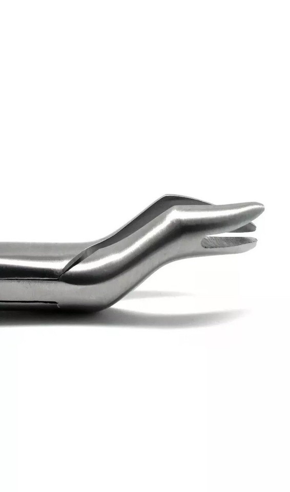 Dental Extracting Forcep 88L Molar Tooth Extraction Surgical Tools | eBay