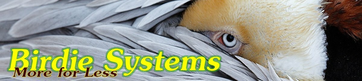 Birdie Systems | eBay Stores