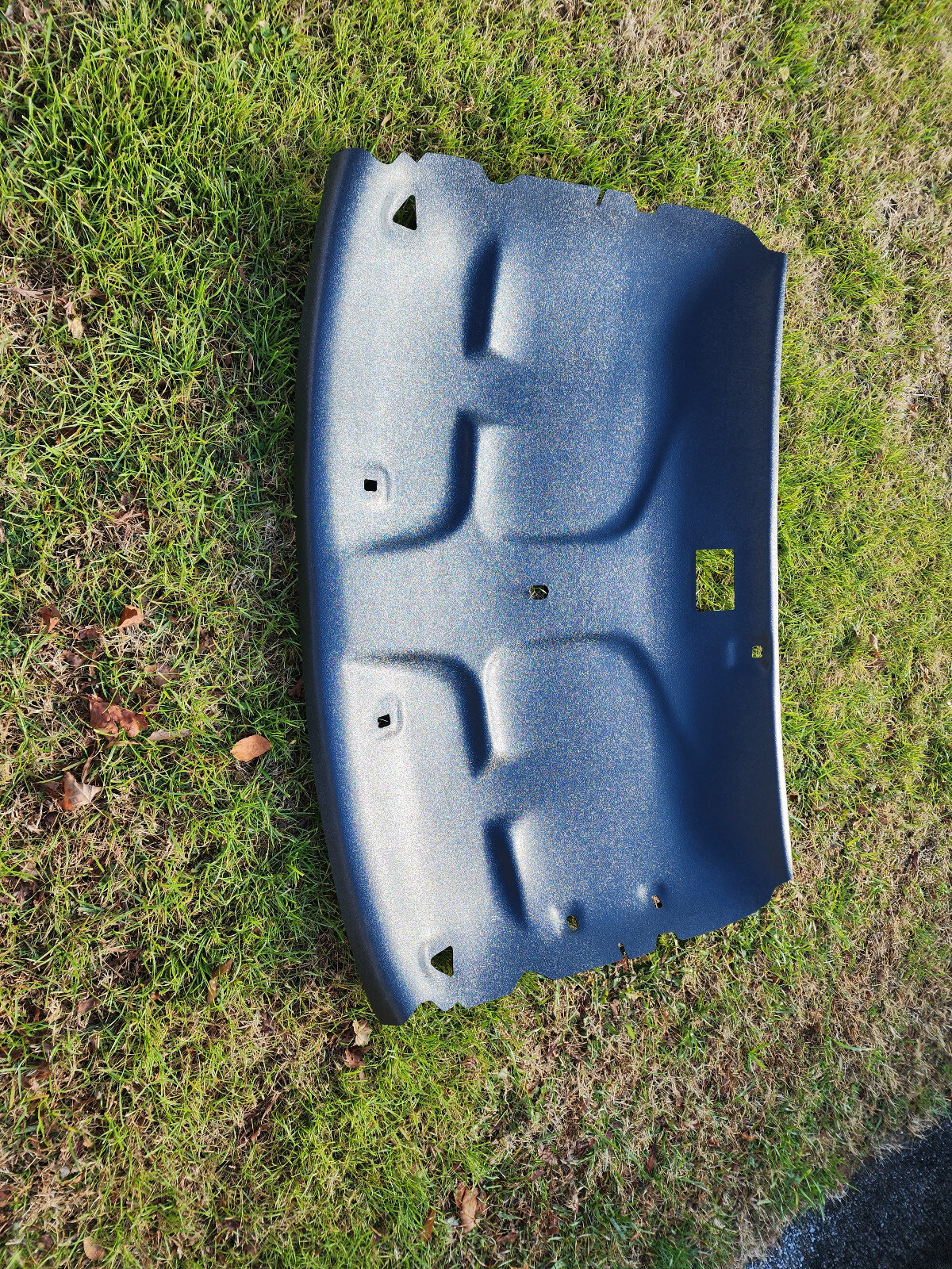 1993-1997 Ford Ranger Std Cab, ABS Plastic Headliner, new never used | eBay