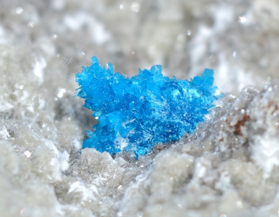 Cavansite & Calcedonio 316 Grammi - Wagholi, Poona Distretto ...