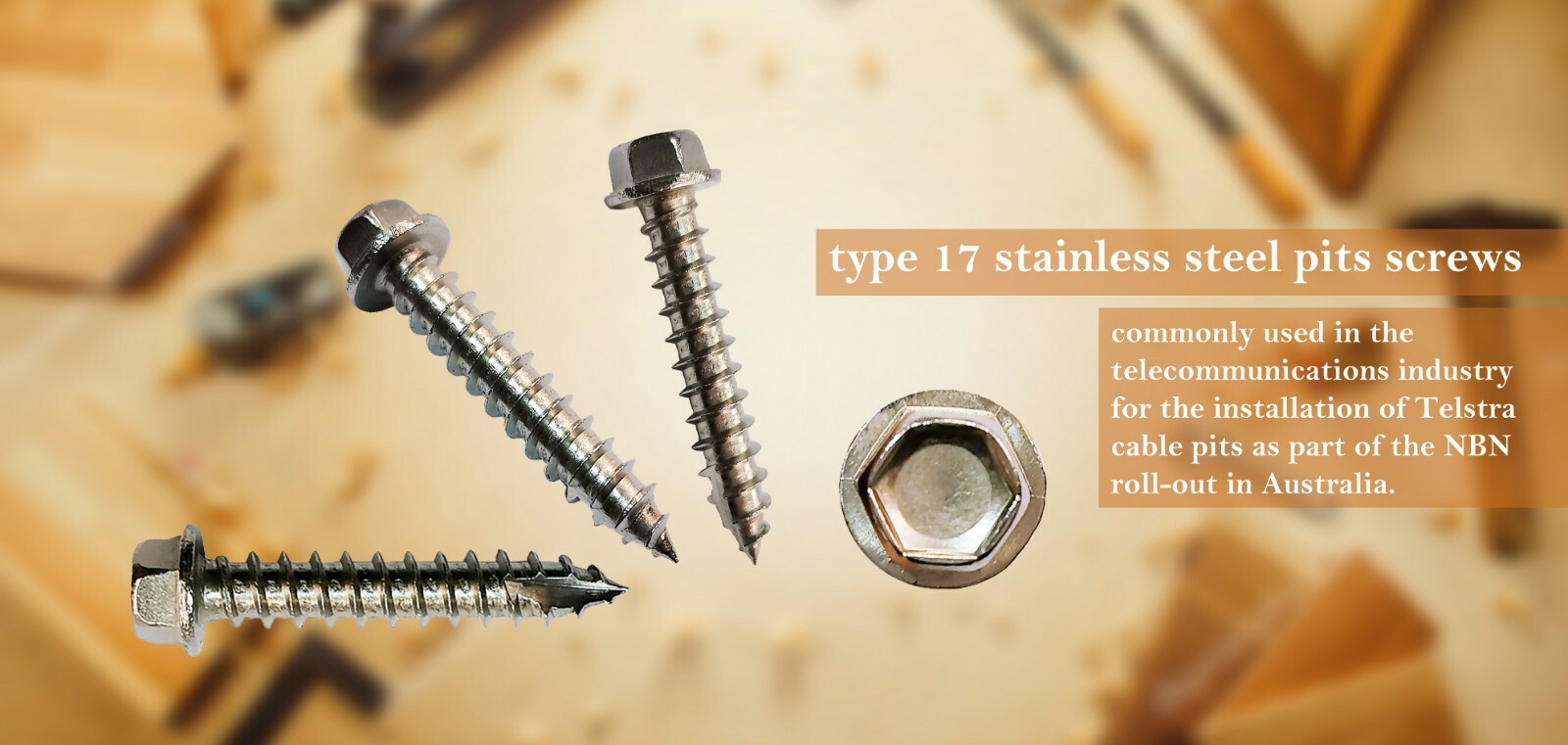 Type 17 Screw 304 Stainless Steel Hex Head Telstra NBN Pit Screws 14G x ...