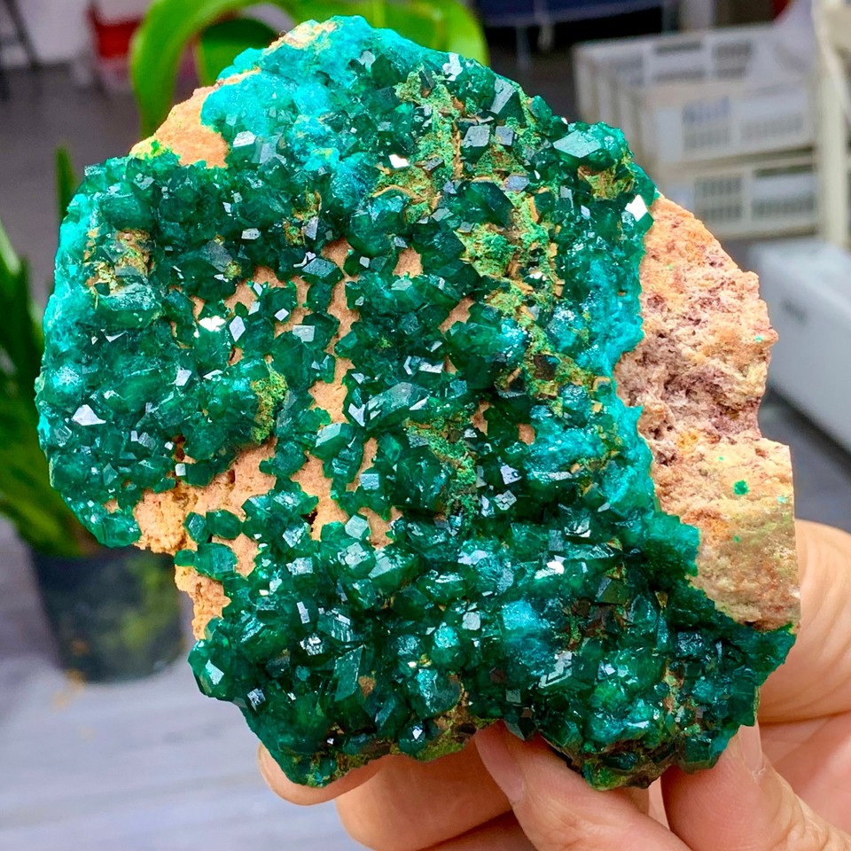 392G Natural green dioptase emerandine gemstone cluster mineral ...