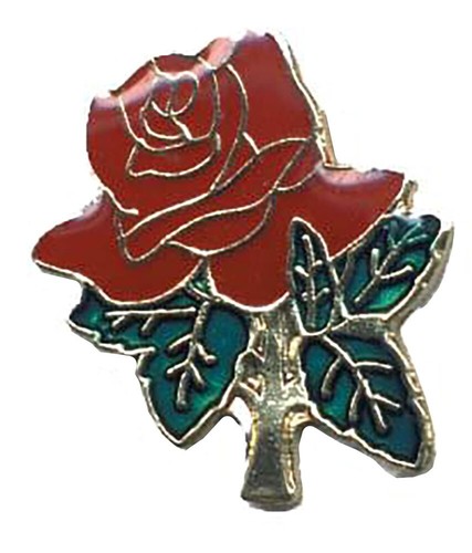 Red Rose Bike Motorcycle Hat Cap Lapel Pin HP4820 | eBay