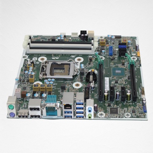 HP Z240 SFF Workstation Motherboard Socket LGA1151 795003-001 | eBay