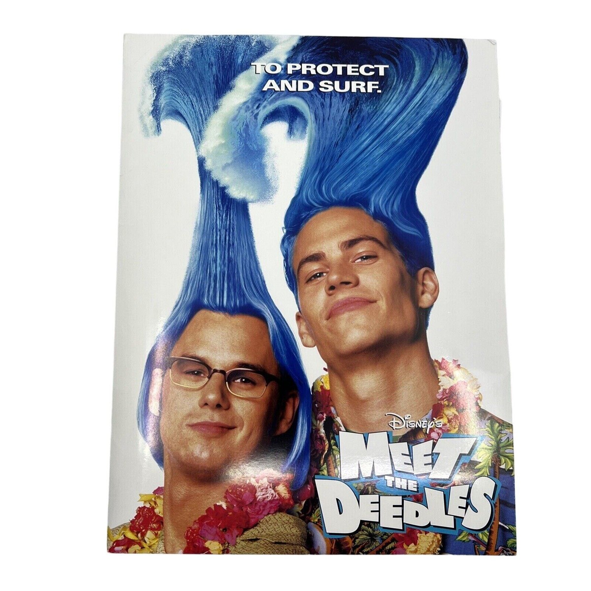 Steve Van Wormer Meet The Deedles Vhs | EBay