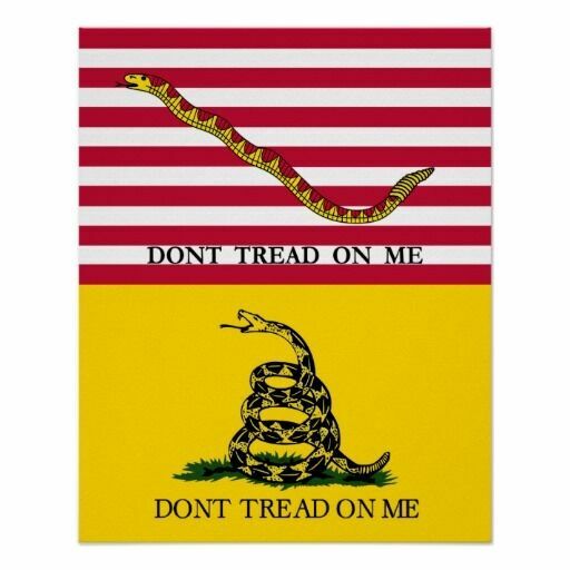 Original American Flag Snake File:The American Rattle Snake