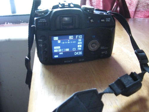Sony DSLR A-100. Alpha A100 Digital Camera & 18-70 Lens & Battery ...