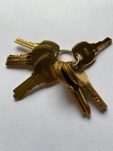 NEW HON FACTORY LOCK CORE REMOVAL KEYS FOR SERIES ( E,H,R,L,S,N,T #101 ...