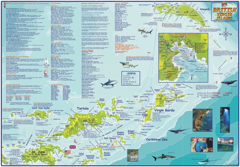 British Virgin Islands Adventure & Dive Map BVI Laminated Poster Franko ...