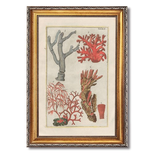 Coral Reef Marine Life Wall Art Canvas Oil Paintings Reproduction | eBay