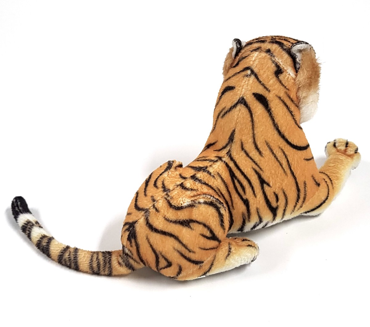 Fluffy Tiger With Superbe 7 Tiger Cubs Ideas | Animals Beautiful, Wild