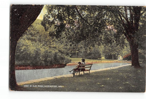 Worcester MA Postcard 1915–1930 Elm Park View | eBay