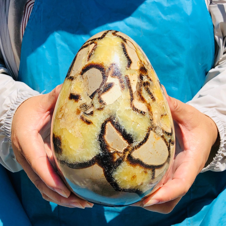 5.74LB Natural Dragon Septarian Egg Quartz Cluster Crystal Healing | eBay