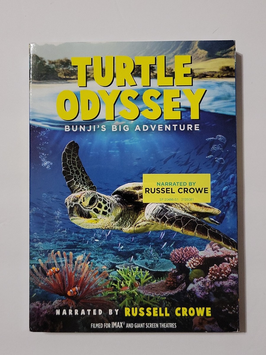Turtle Odyssey