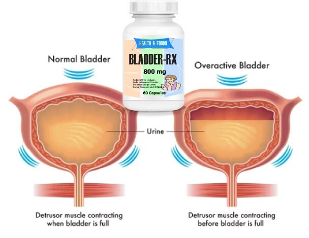 BLADDER-RX, Helps with Overactive Bladder, Improve Bladder Control | eBay