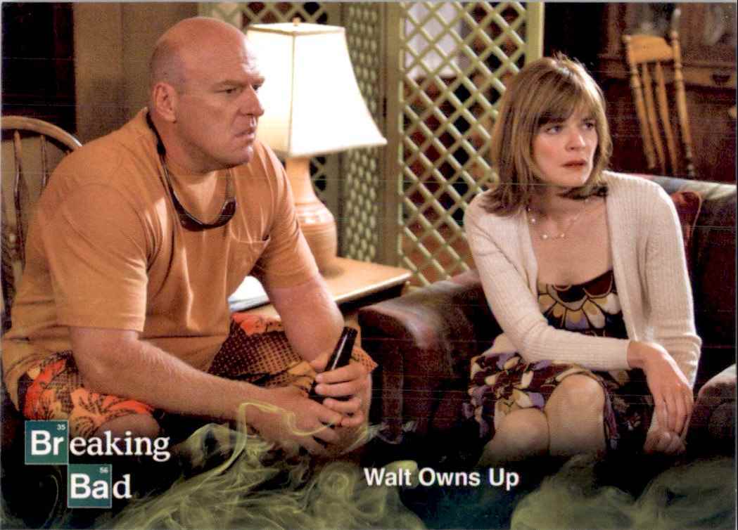 2014 Breaking Bad WALT OWNS UP #20 | eBay