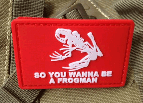 SO YOU WANNA BE A FROGMAN Specia Force PATCH USA SEALS BADGE PATCH | eBay