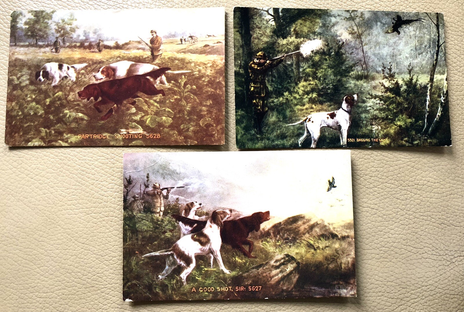 3 Vintage HUNTING POSTCARDS: HUNTER SHOOTS BIRD; DOG WATCHES #5521 ...