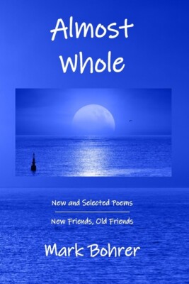 Almost Whole: New And Selected Poems 9781987459135| eBay