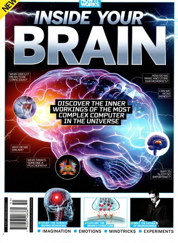 HOW IT WORKS- INSIDE YOUR BRAIN- DISCOVER THE INNER WORKINGS!!! | eBay