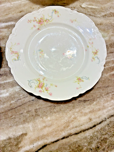 4 Schleiger pattern 9 1/2 ' plates, pink flowers, green leaves, blue ...