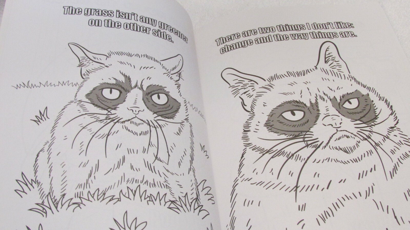 Grumpy Cat Coloring Page