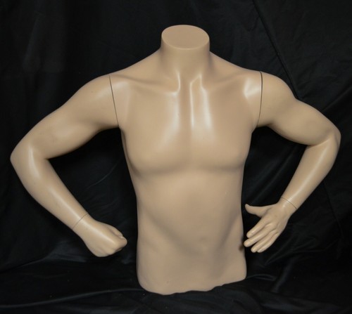 Headless Male 1/2 Torso Fiberglass Mannequin w/arms & hands NO BASE NEW ...