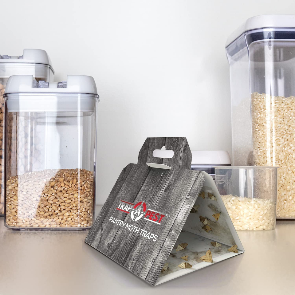 8 Pack Pantry Moth Traps- Safe and Effective for Food and Cupboard ...
