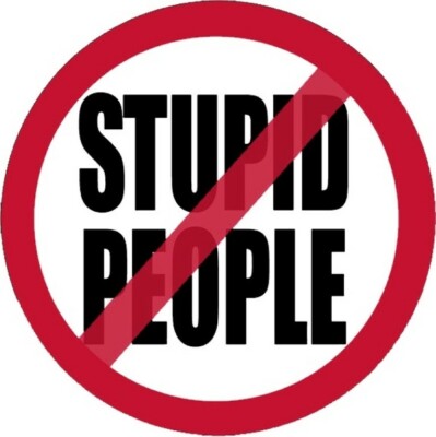 NO STUPID PEOPLE HARD HAT STICKER HELMET STICKER TOOLBOX STICKER | eBay