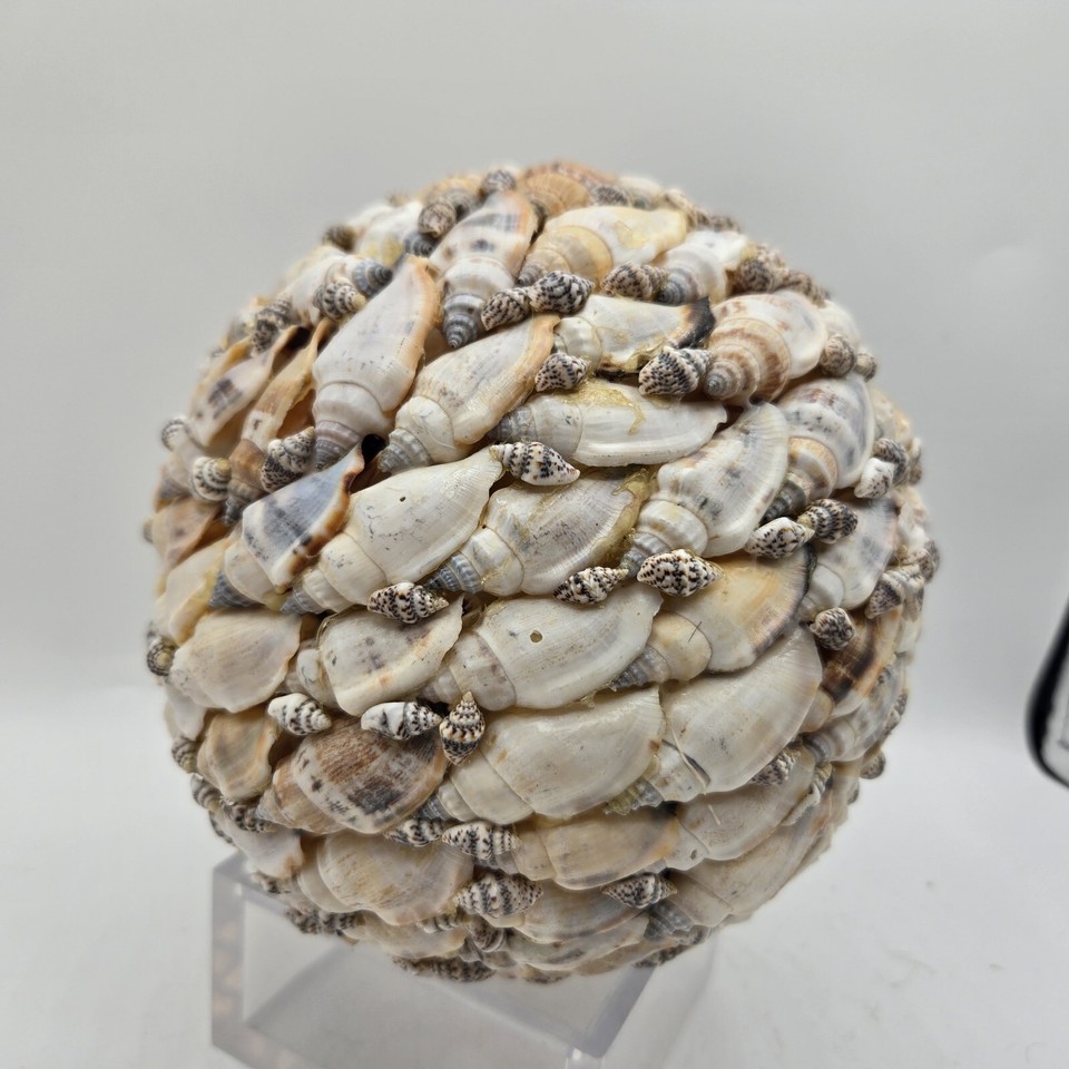 Sea Shells Orb Art Sculpture Unique Handmade 7" T - 21" Diameter Beach ...