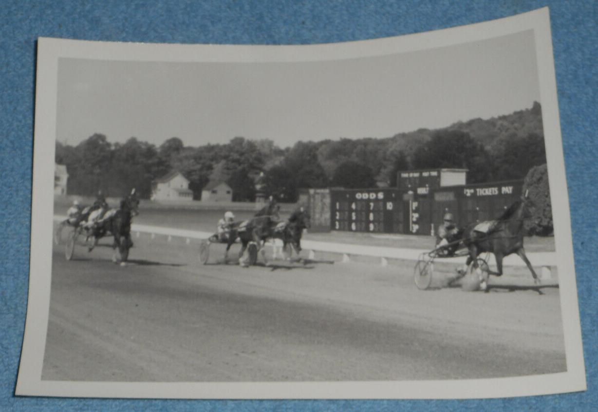 Circa 1971 Harness Racing Press Photo Horse "Miel" Peter Gerry Goshen ...