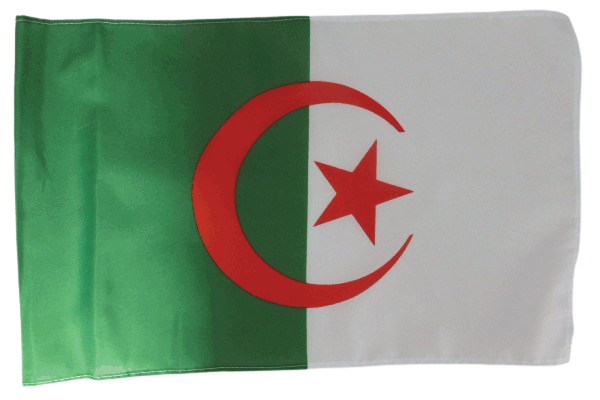 Courtesy Flag 1.5ft x 1ft Sleeved Polyester 180+ designs FREE P&P | eBay UK