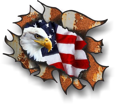 CLASSIC RUST RUSTY Ripped Torn Metal American Eagle & US USA Flag car ...