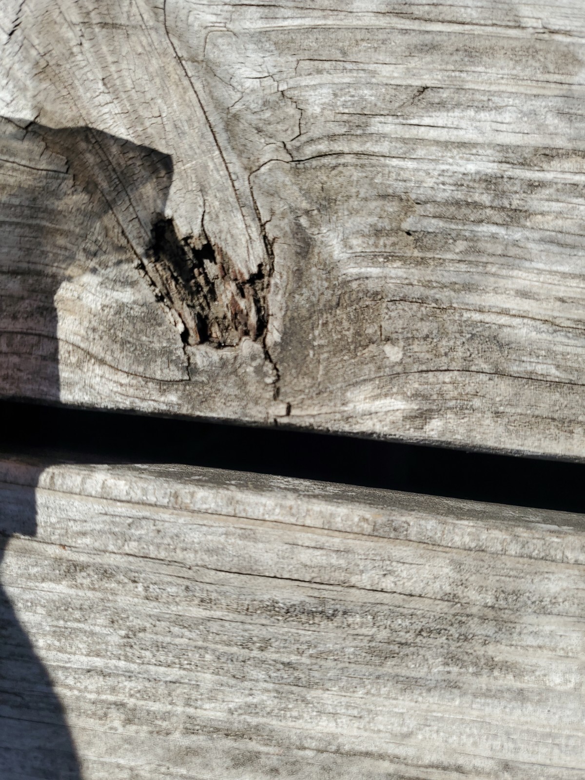 OEM ICP 1176905 Limit Switch Lf18-194 L165f for sale online | eBay