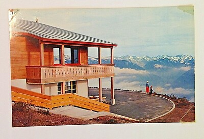 Vintage Color Postcard Hurricane Ridge Lodge Olympic National Park ...