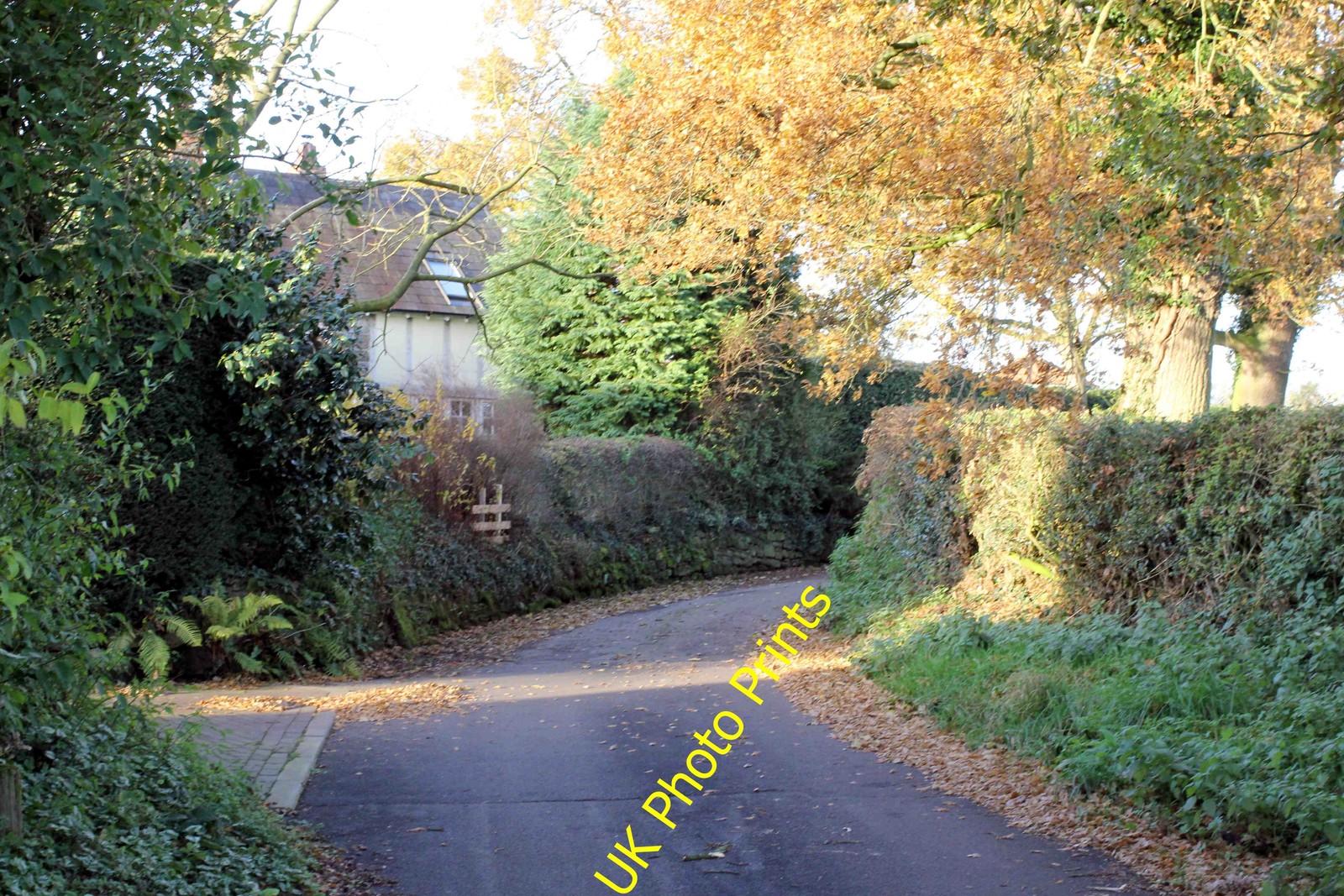 Photo A2 Bulkeley Hall Lane Egerton Green c2013 | eBay