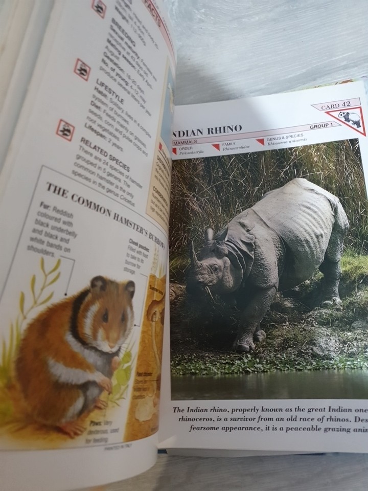 WILDLIFE FACT FILE - SET OF 3 FOLDERS | eBay UK