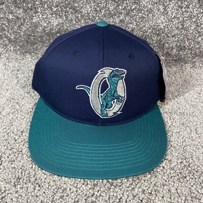 Vintage Ogden Raptors Snapback Hat Outdoor Cap 90s Blue NWT Deadstock ...